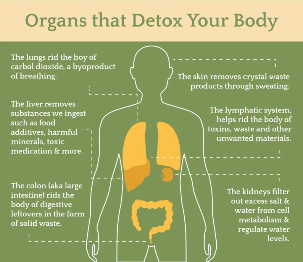 Detoxification Therapy in California | Pacific Naturopathic